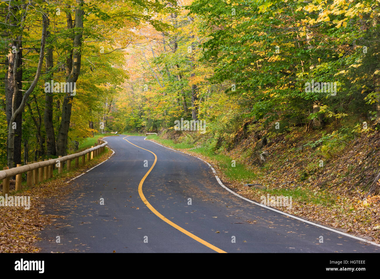 The Auto Road up Mount Greylock, highest point in Massachusetts. Mount ...