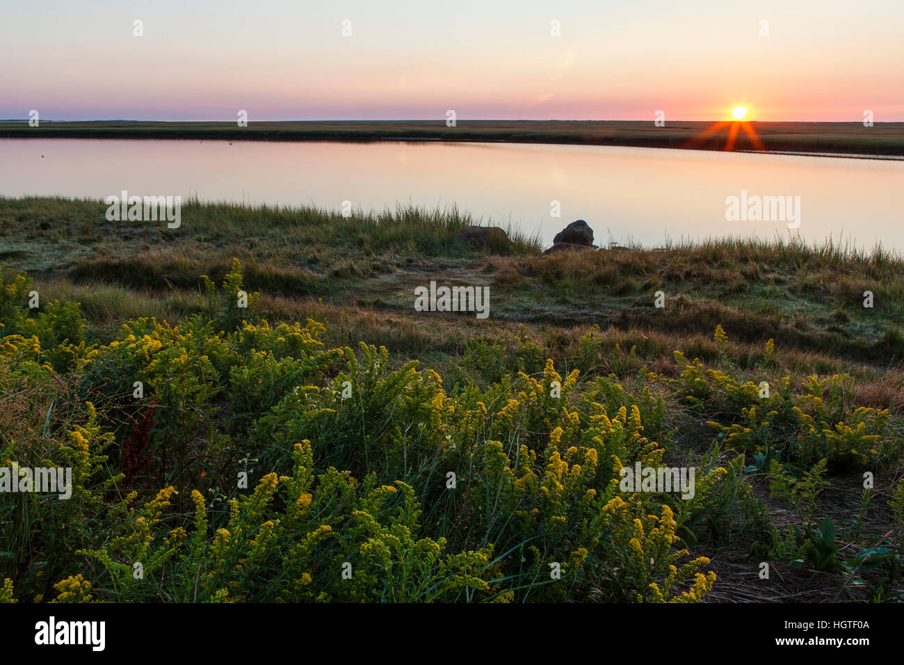 Fort Hill Cape Cod High Resolution Stock Photography and Images - Alamy