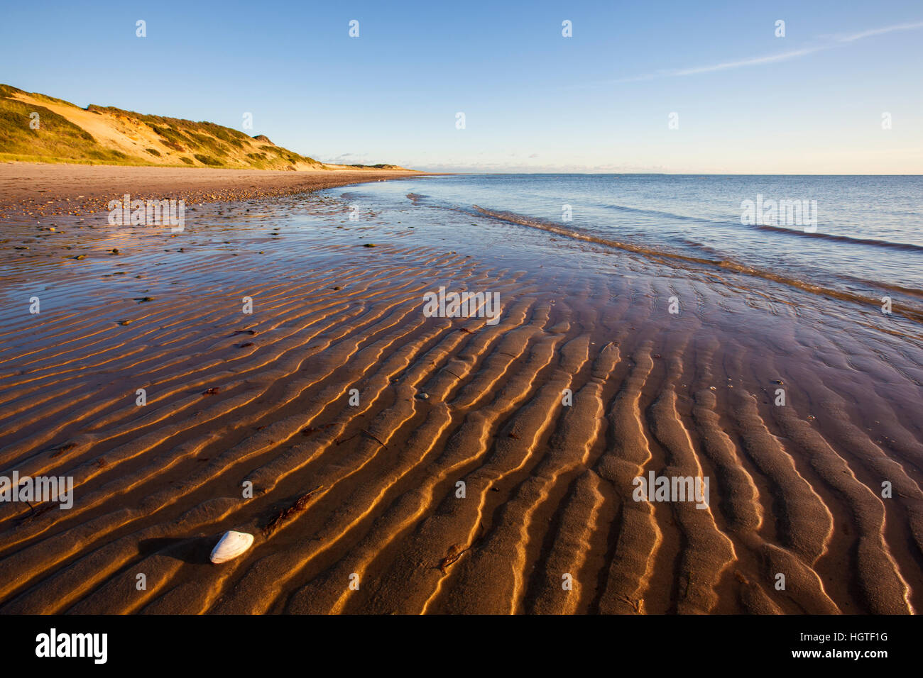 Great island trail wellfleet hi-res stock photography and images - Alamy
