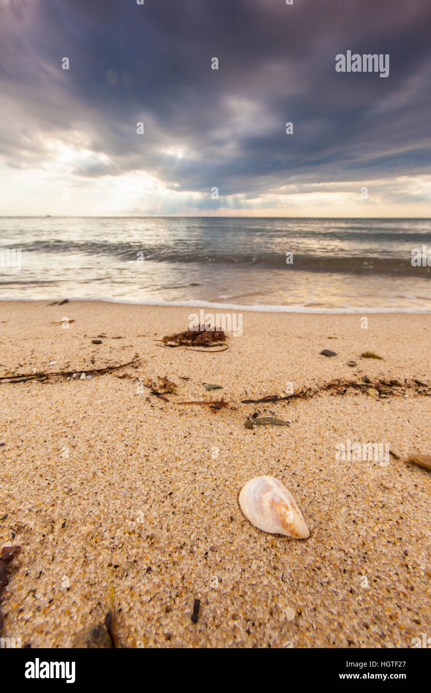 A sea shell under storm clouds at Duck Harbor Beach in Wellfleet ...