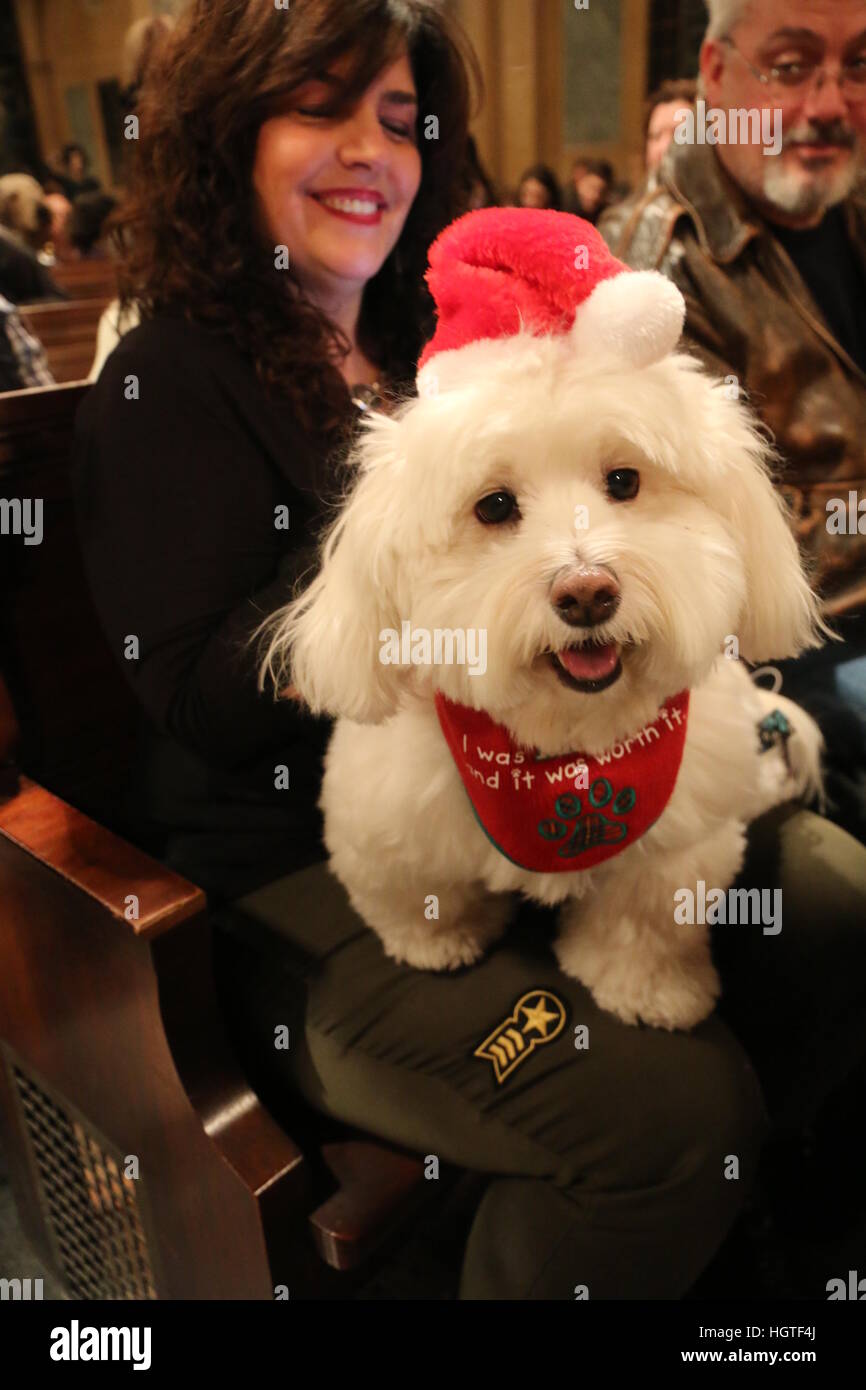 8th Annual Blessing of the Animals with Cindy Adams Featuring ...