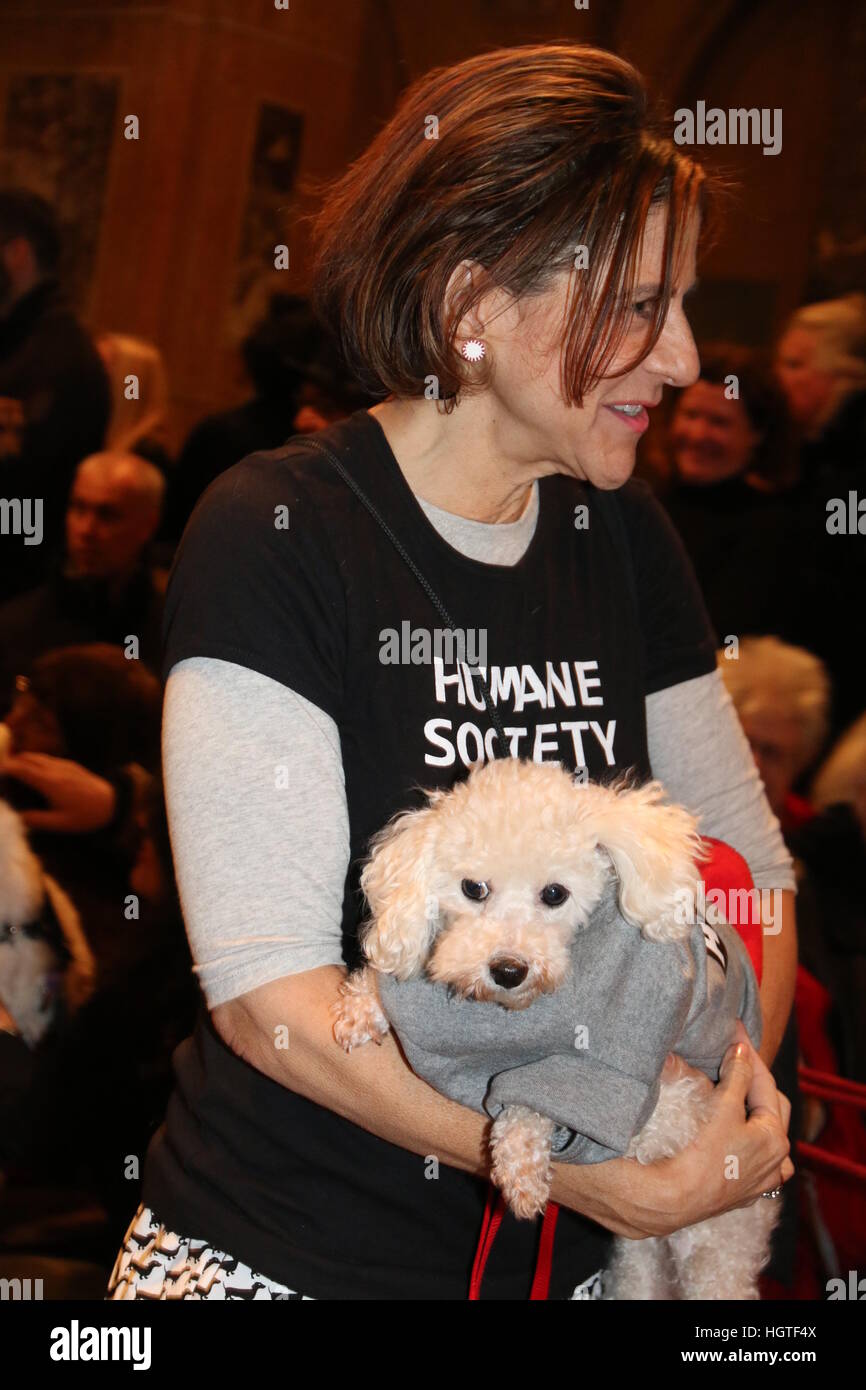 8th Annual Blessing of the Animals with Cindy Adams Featuring ...