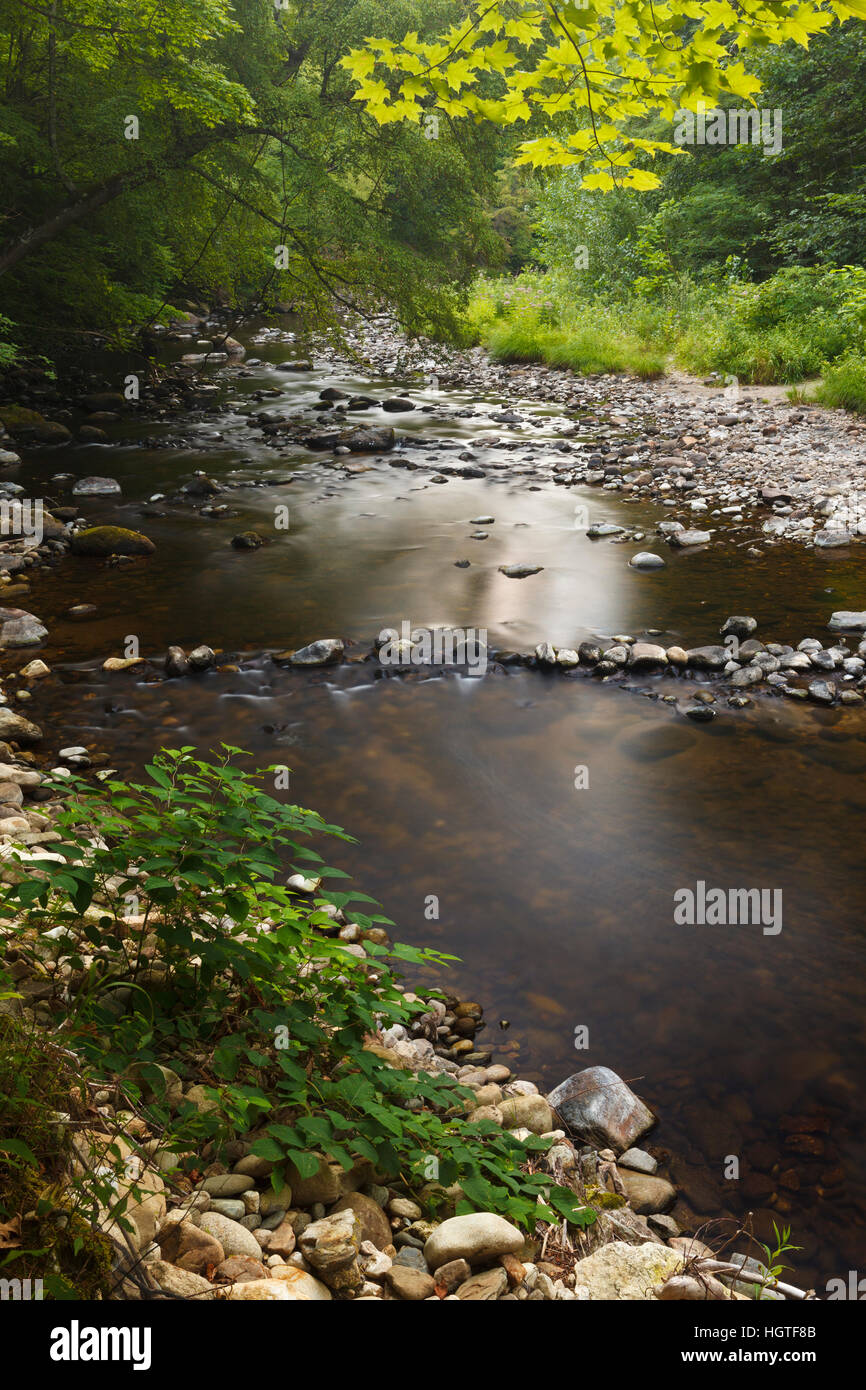 The Mill River in the new Mill River Greenway in Northampton ...