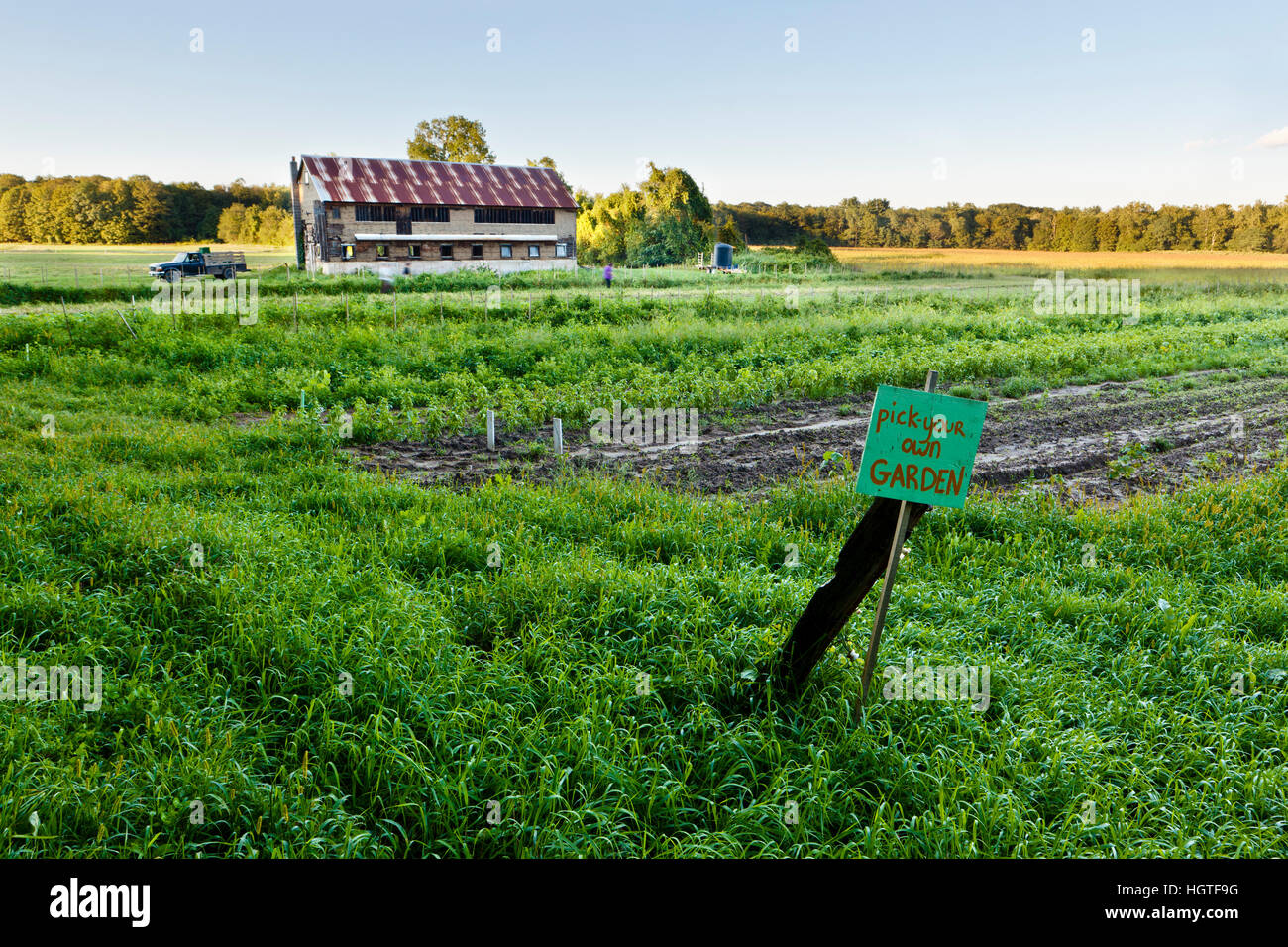 Northampton community farm hi-res stock photography and images - Alamy