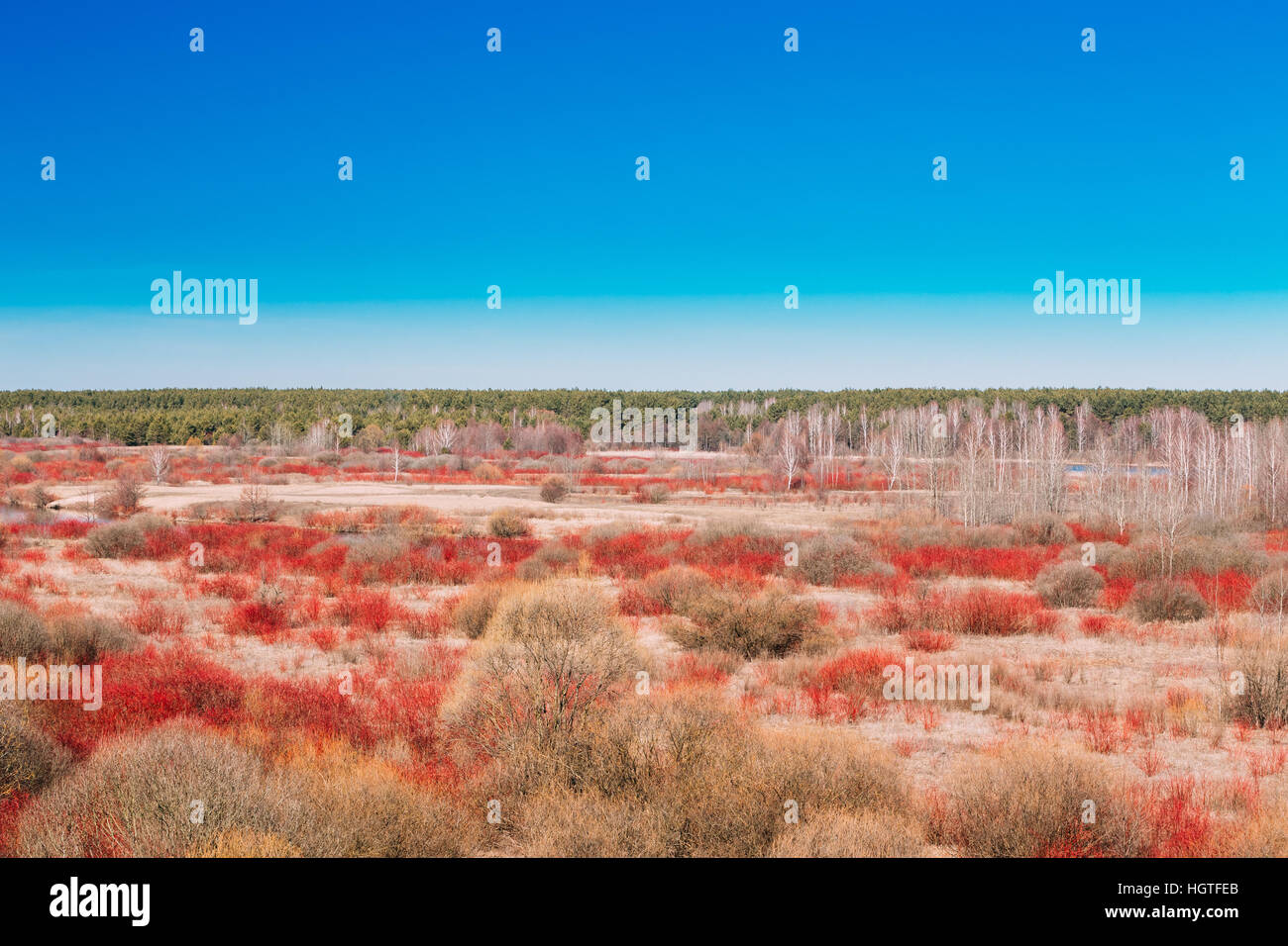 The Scenic Colorful Spring Or Autumn Coastal Landscape With Red Yellow ...