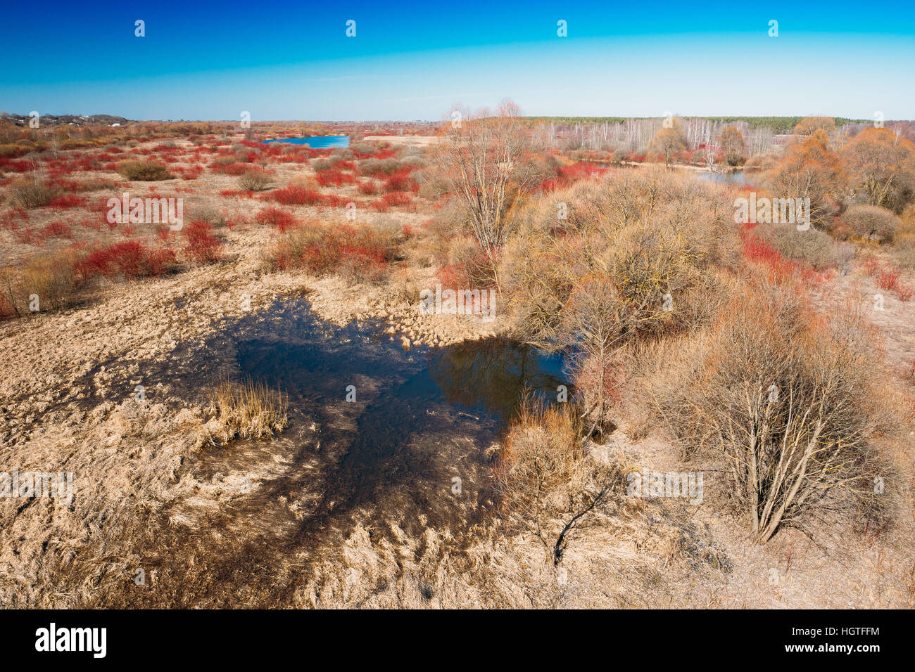 Spills Of River In Spring Season In Belarus. Sunny Spring Day ...