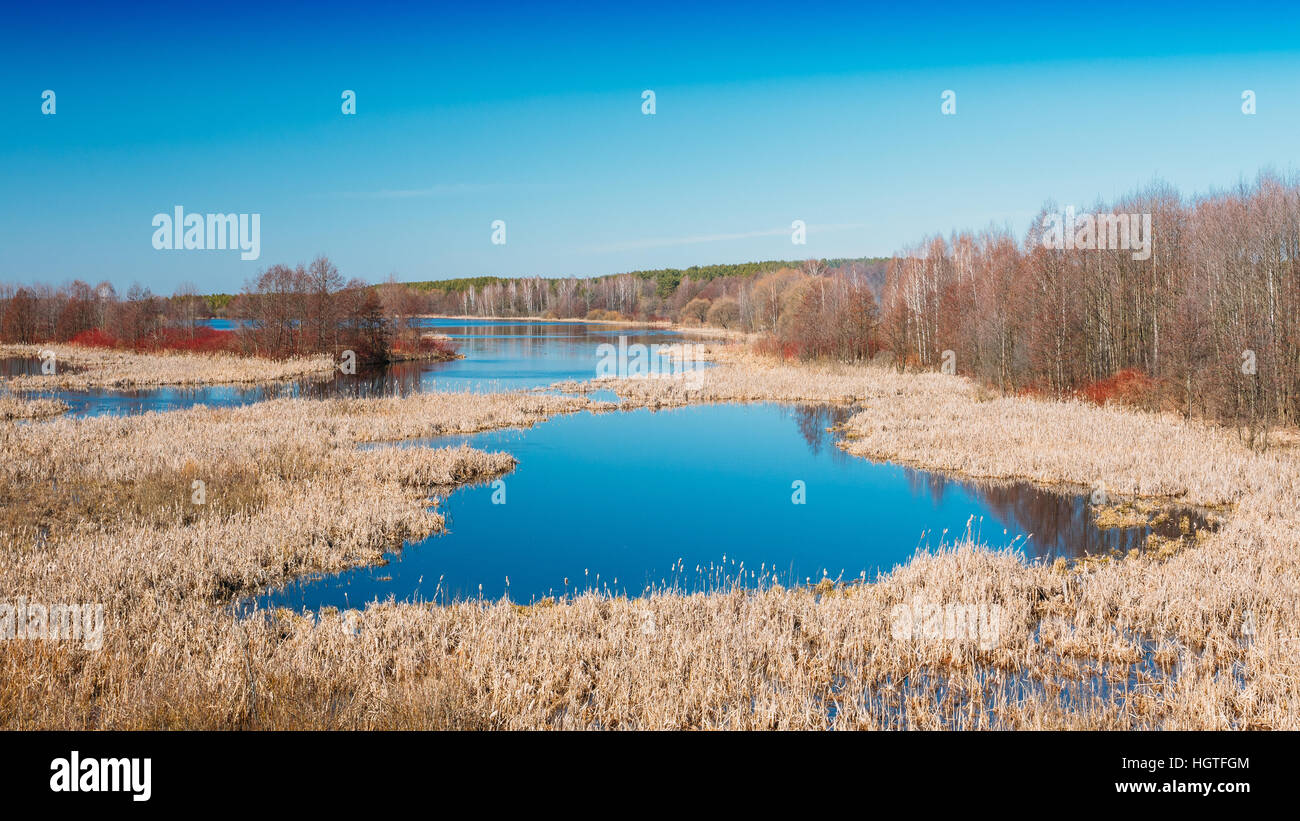 Panorama Spills Of River In Spring Season In Belarus. Sunny Spring Day ...