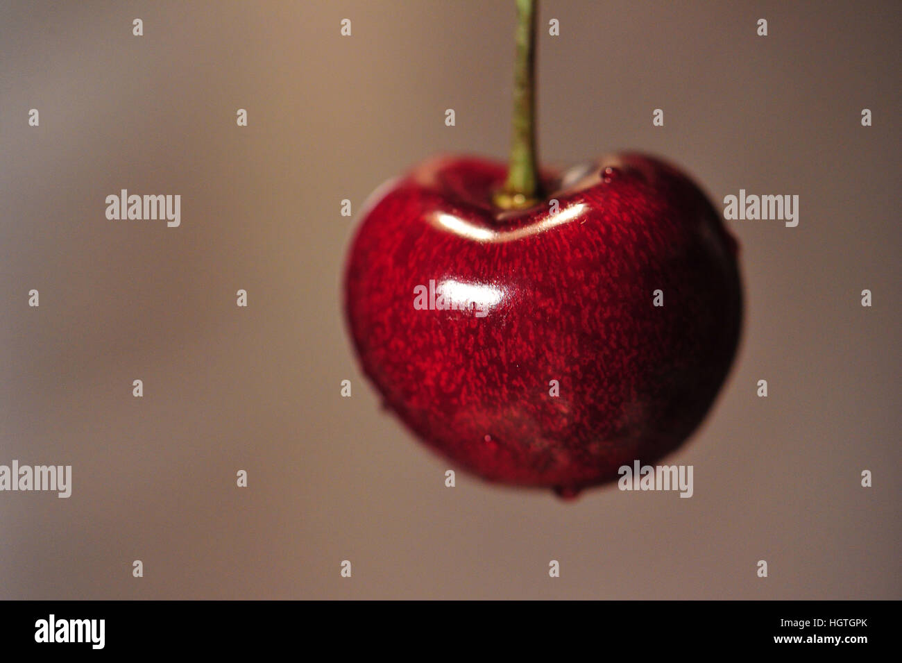 Closeup bright red cherry hi-res stock photography and images - Alamy