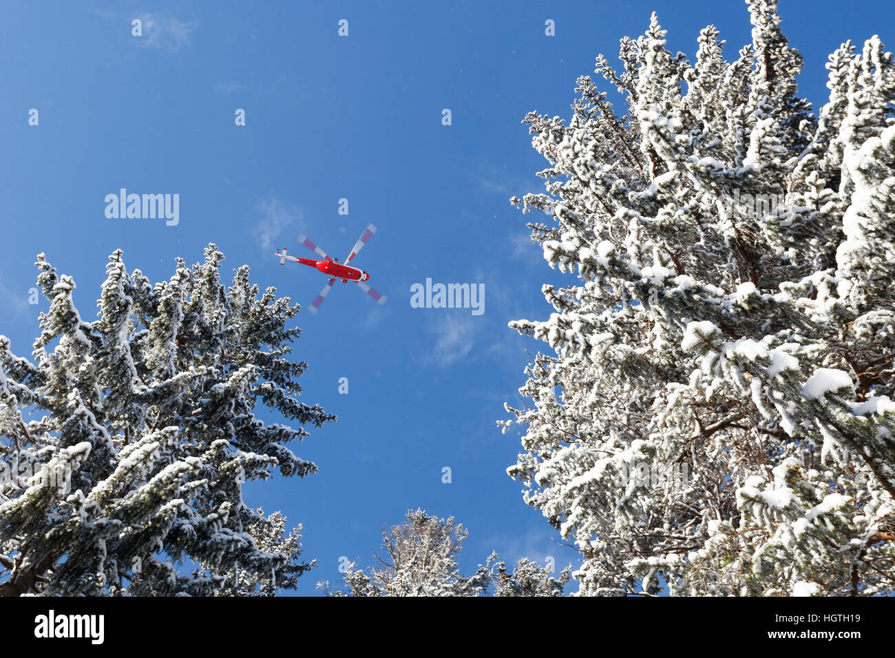 TOPR helicopter flying over tree tops, looking for lost tourists, Tatry ...