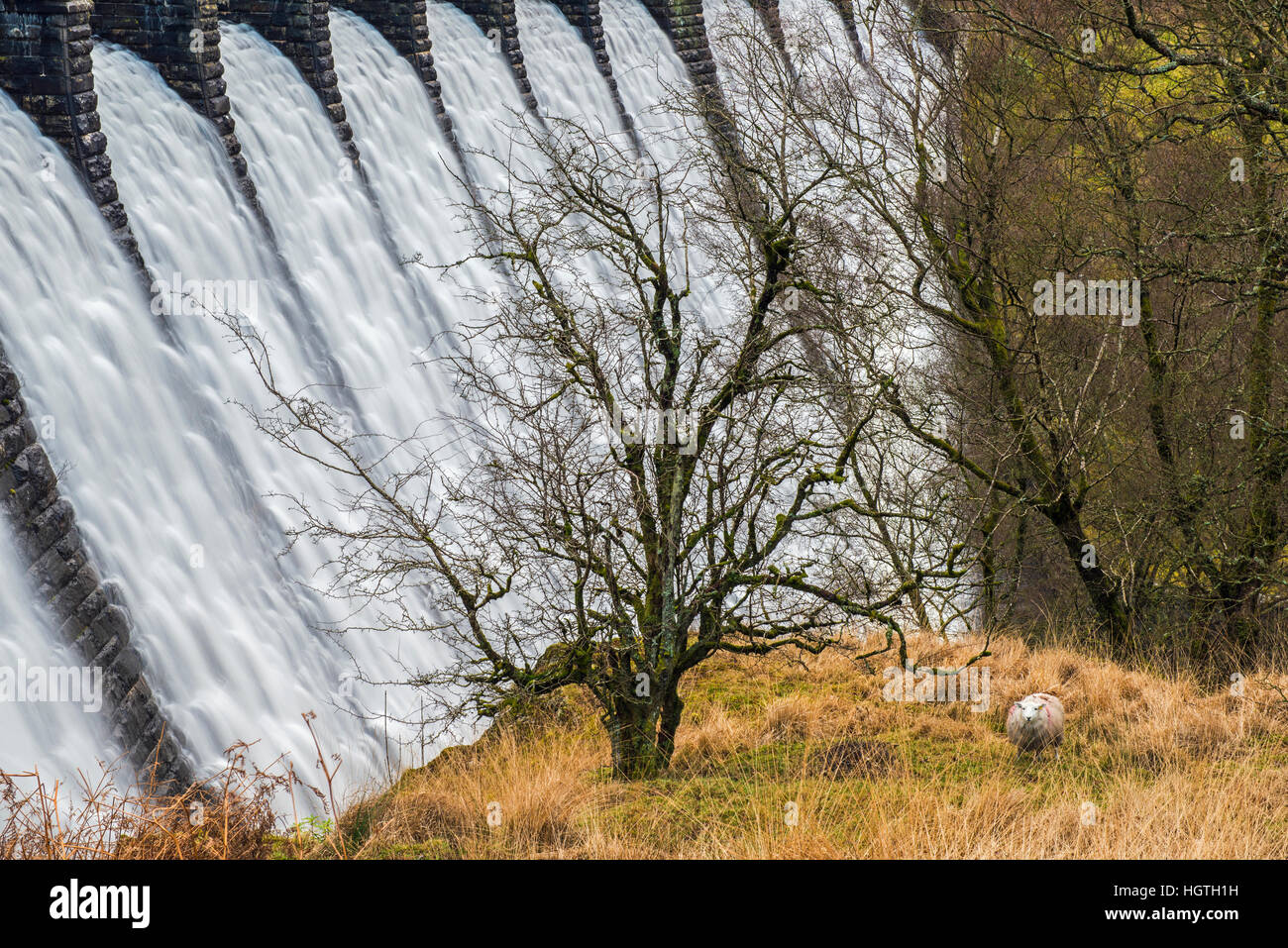 Craig Goch Dam at the top of the Elan Valley Close Up Mid Wales Winter ...