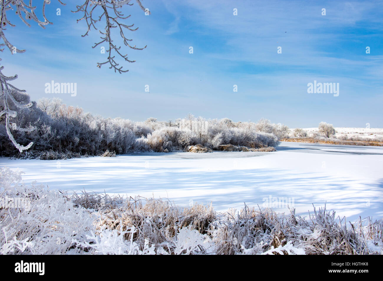 Winter in St Vrain Park Stock Photo - Alamy