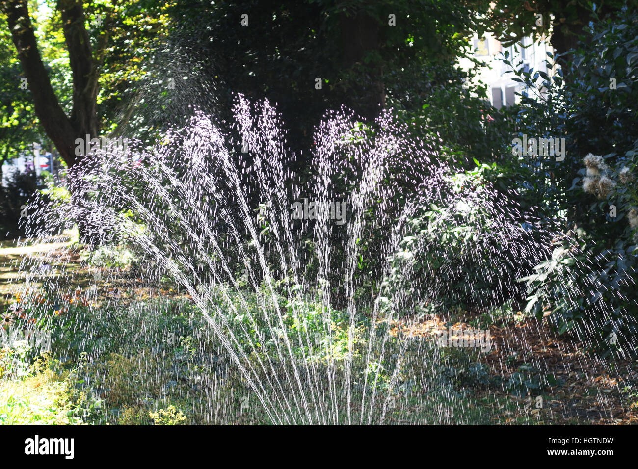 London park sprinkler water spray England Stock Photo - Alamy