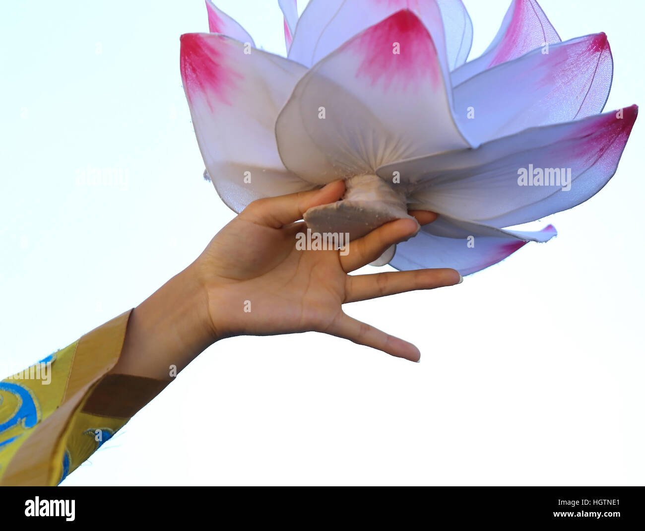 lotus flower supported by the hands of the oriental dancer Stock Photo ...