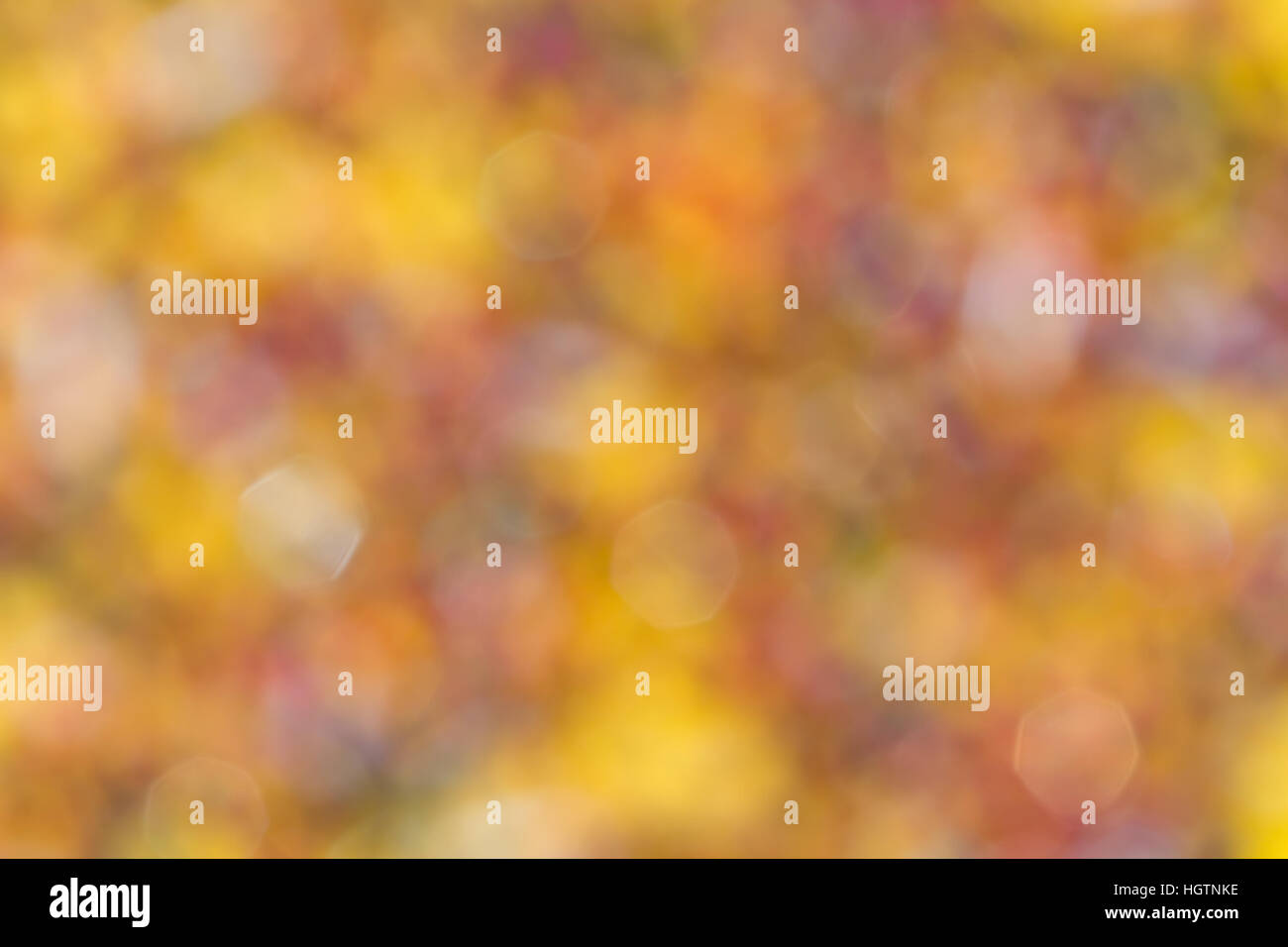 Abstract natural blurred background. Element of design Stock Photo - Alamy