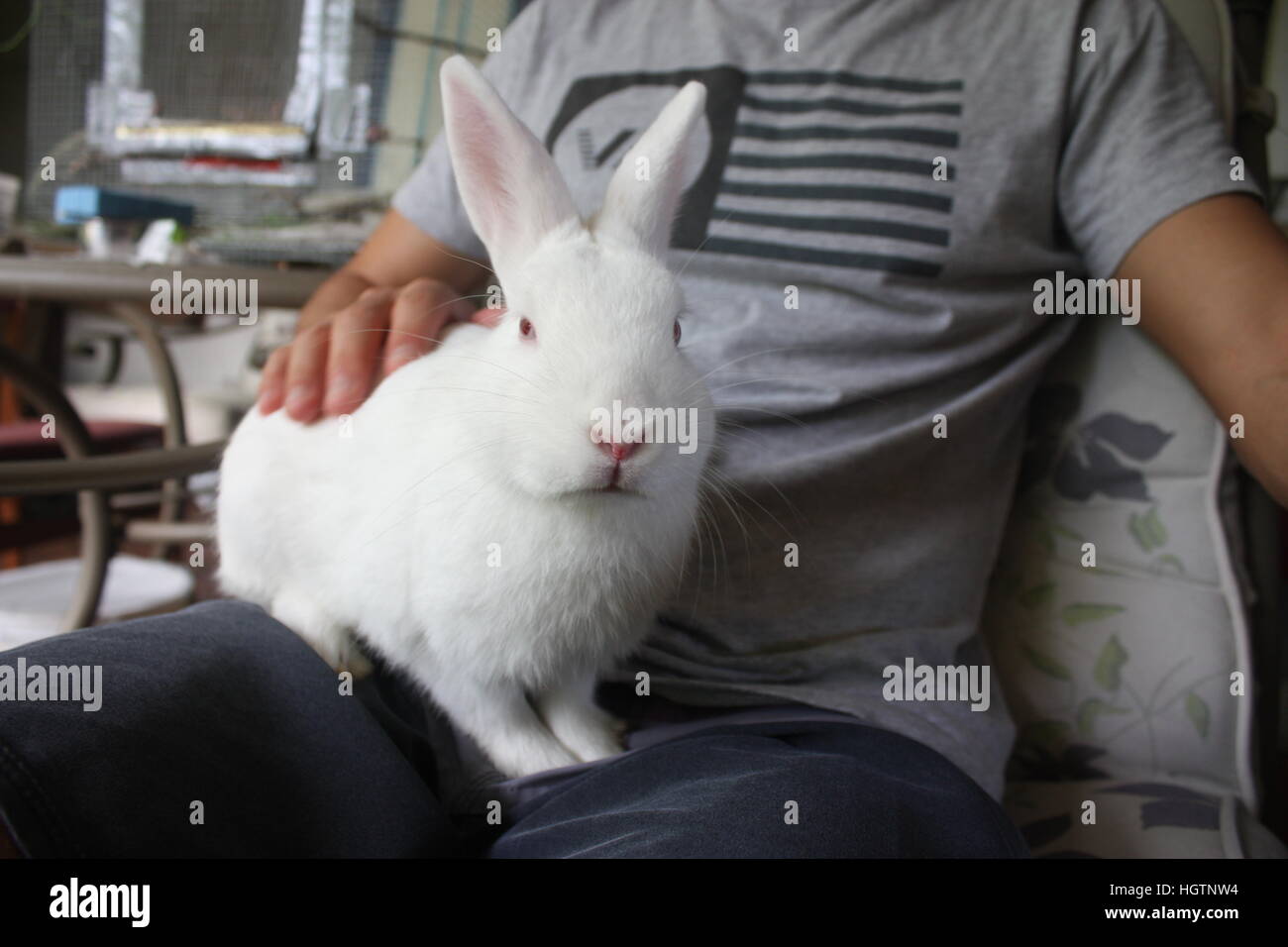 Sitting lap hi-res stock photography and images - Alamy