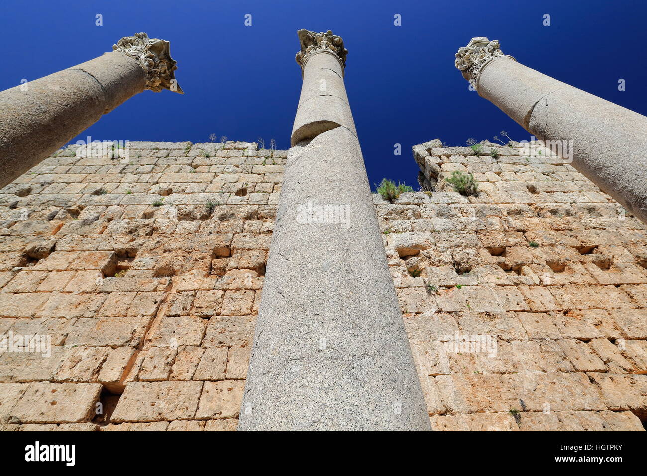 The roman palaestra was built in travertine on a square plan of 76x76 ...
