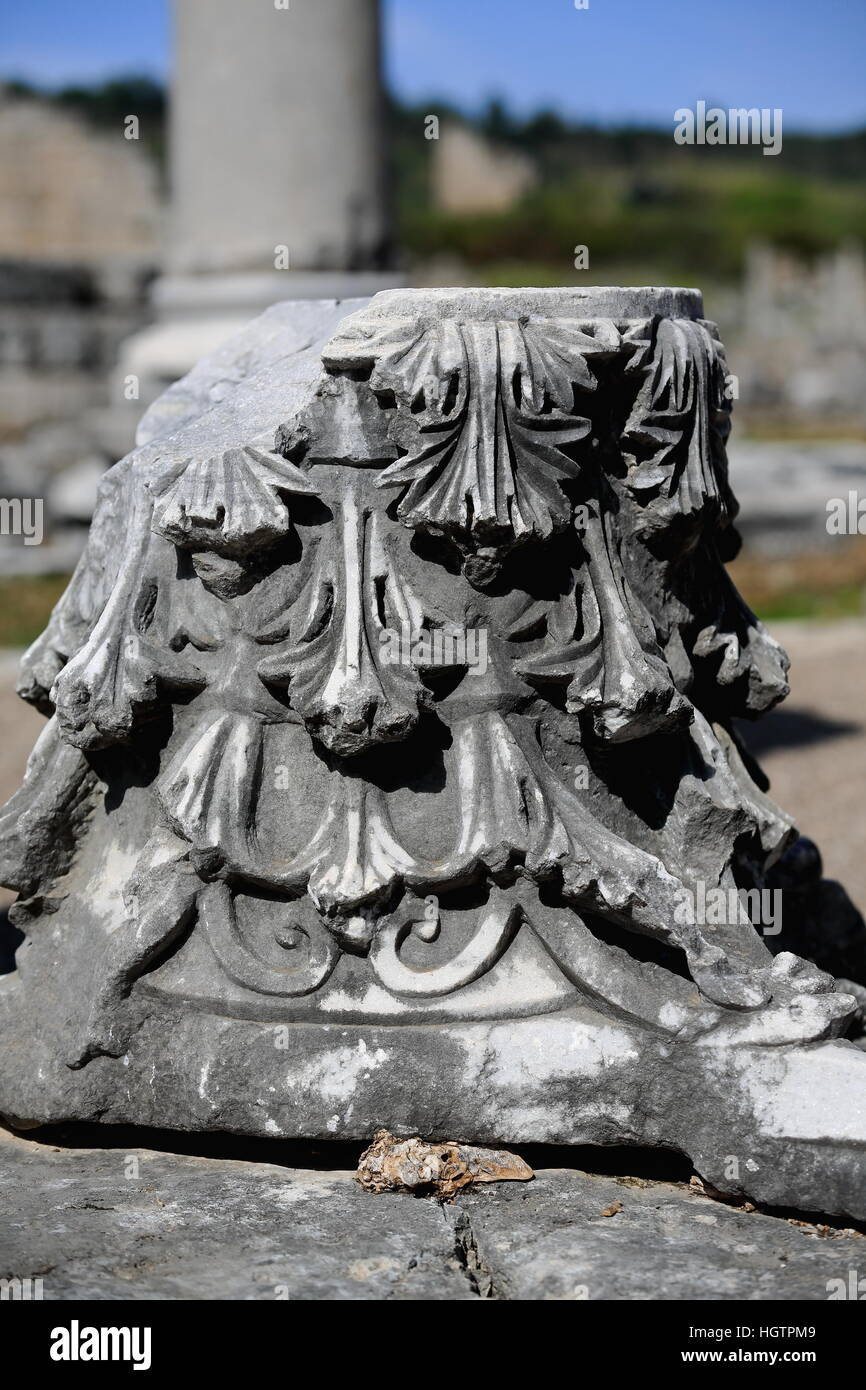 The roman palaestra was built in travertine on a square plan of 76x76 ...