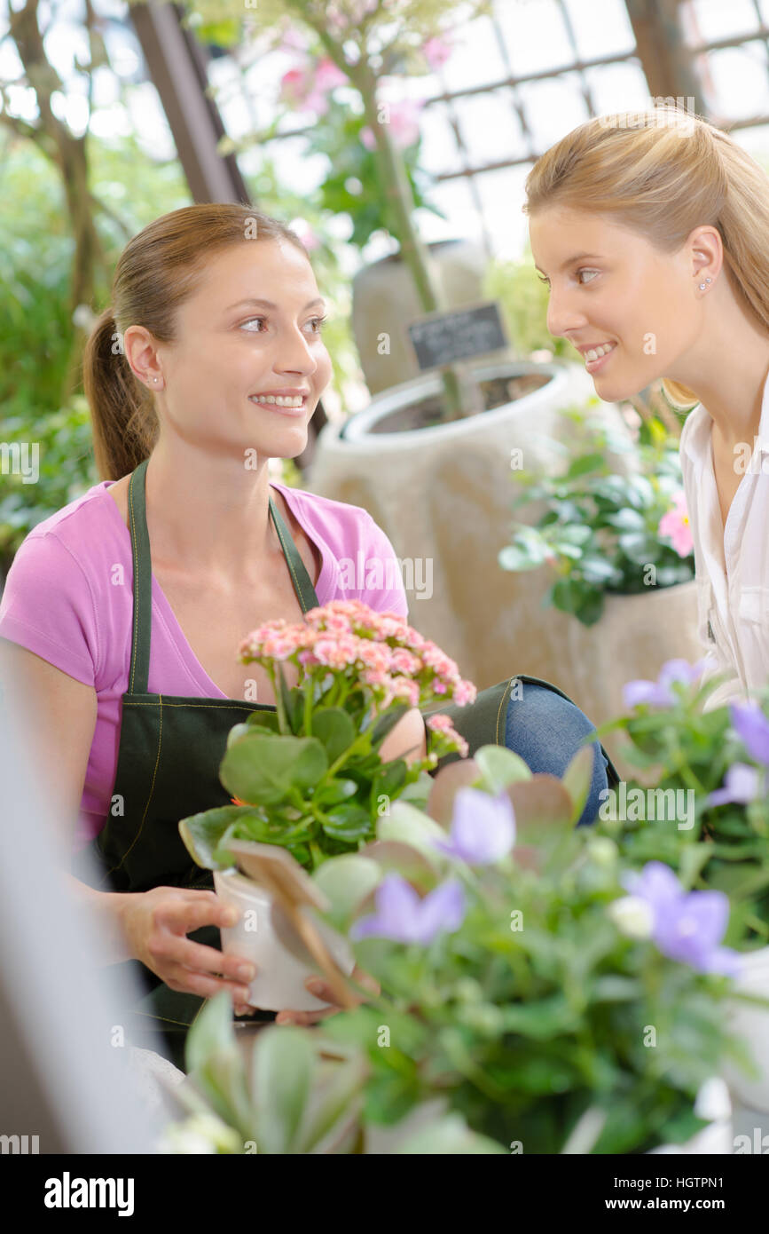 a friend's visit Stock Photo - Alamy