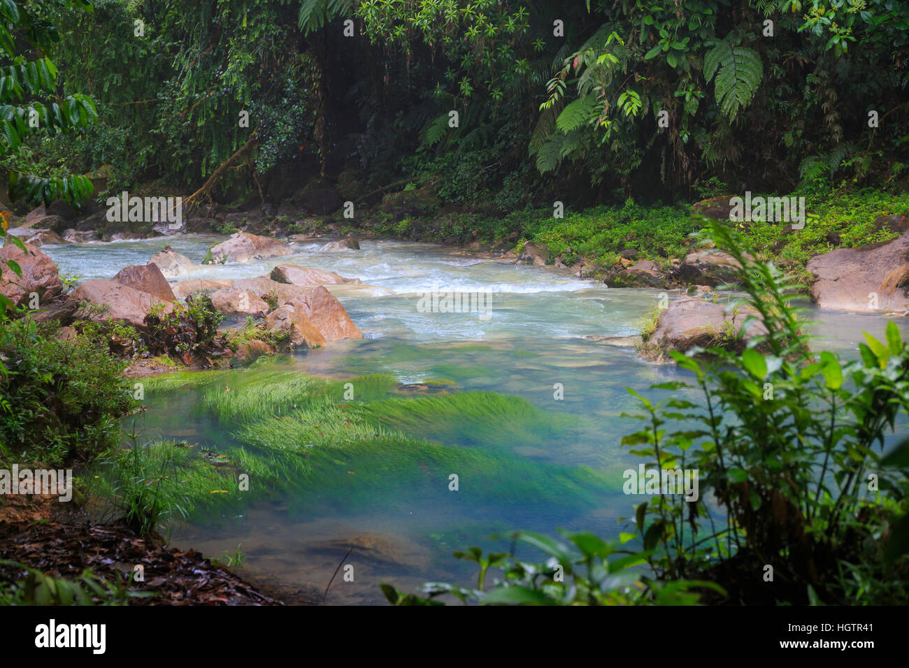Rio celeste and lush rainforest Stock Photo - Alamy
