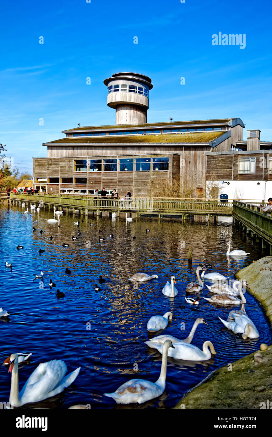 Slimbridge Wetland Centre