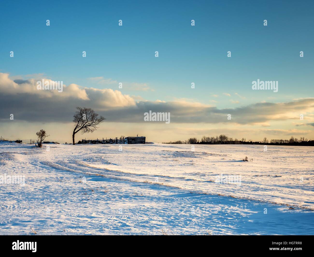 Sunset Over Snow In Winter Trees Orange Glow snow cold fence field ...