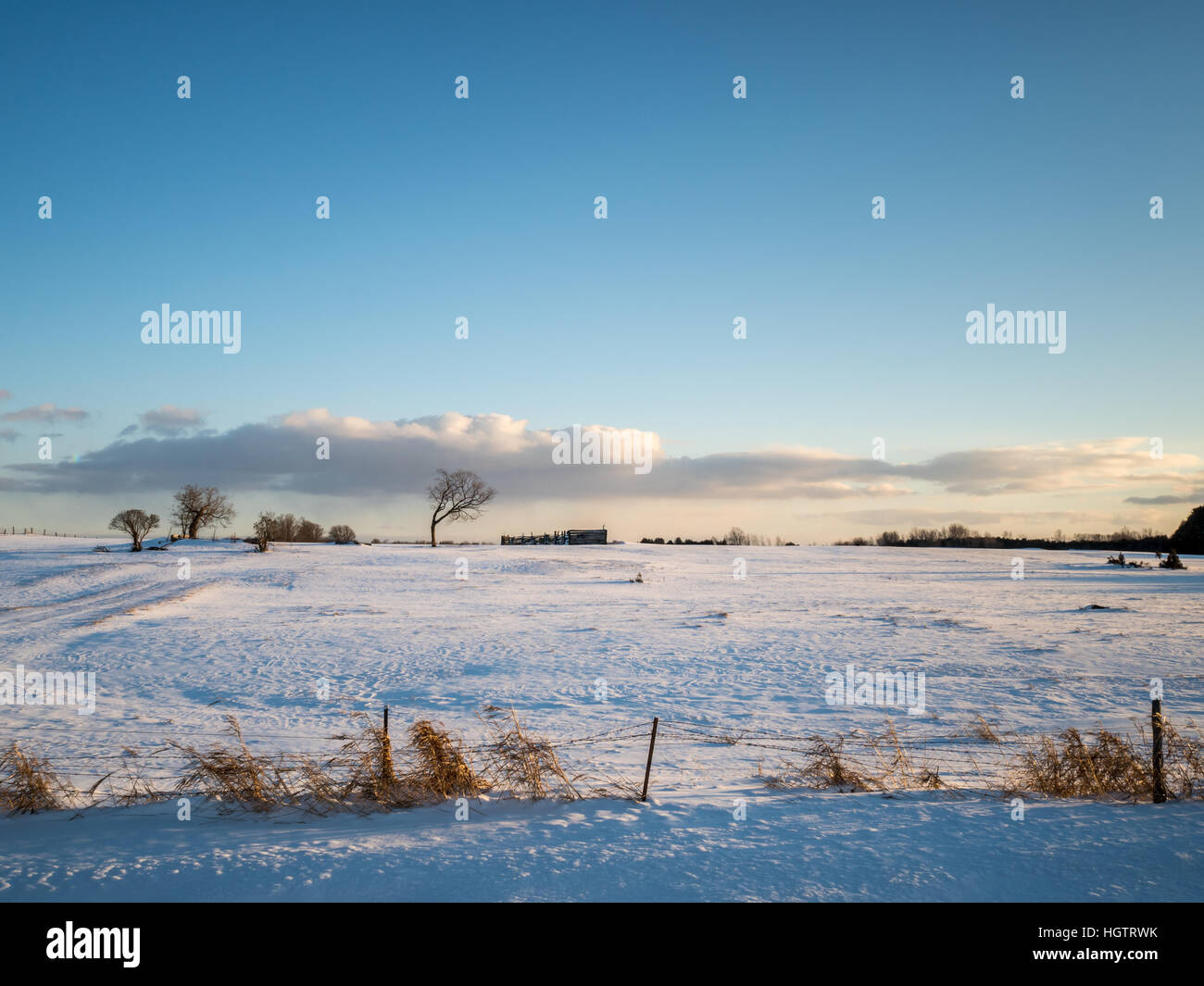 Sunset Over Snow In Winter Trees Orange Glow snow cold Stock Photo - Alamy