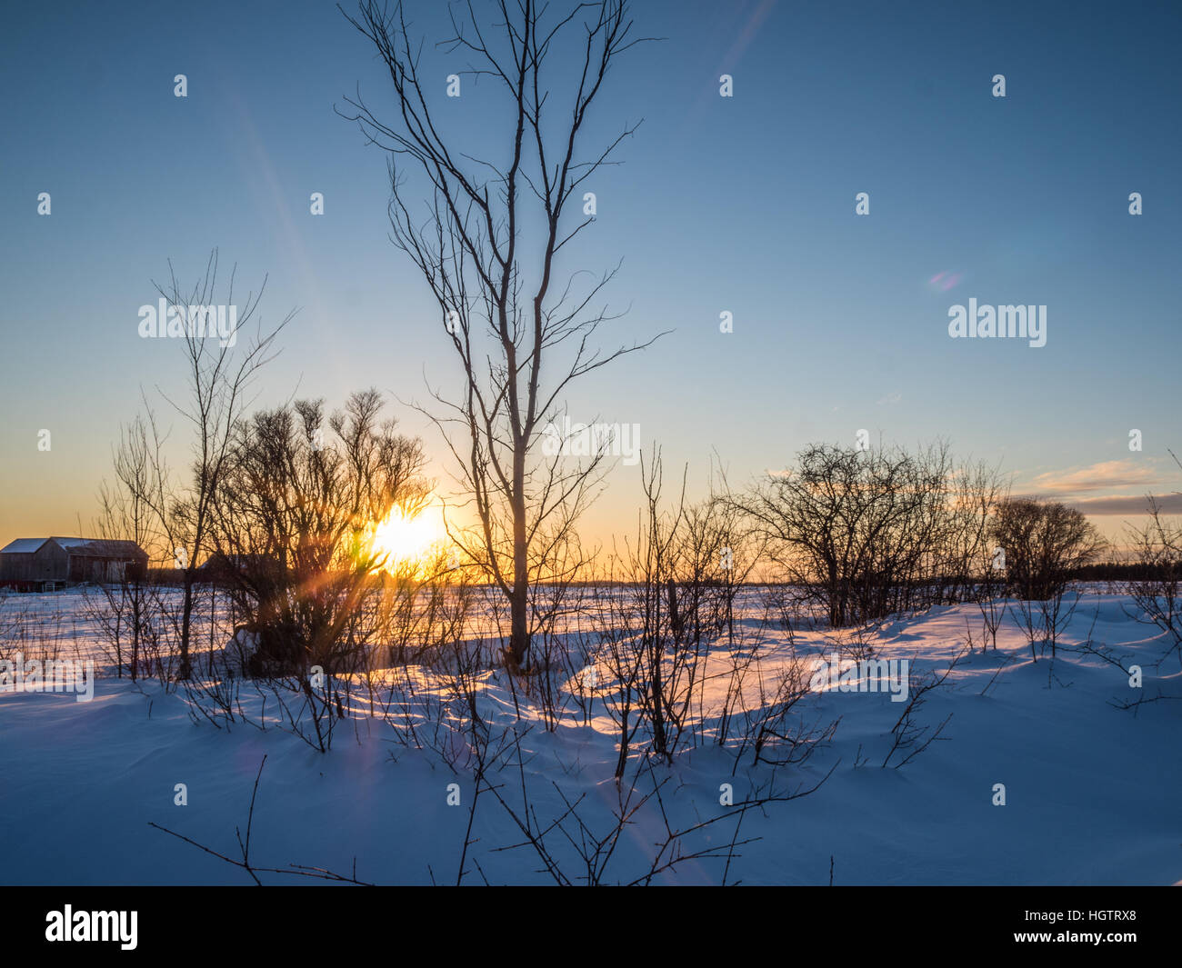 Sunset Over Snow In Winter Trees Orange Glow snow cold Stock Photo - Alamy
