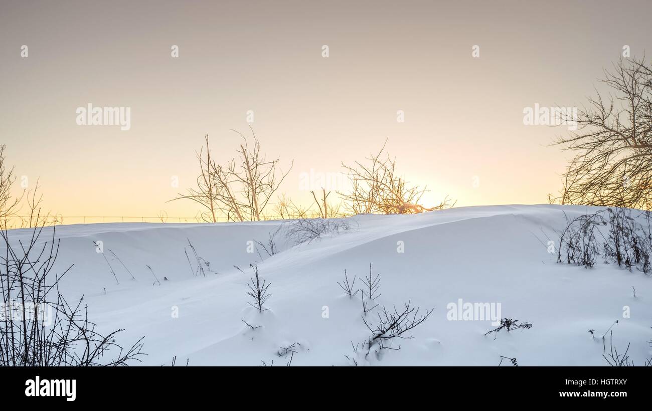 Sunset Over Snow In Winter Trees Orange Glow snow cold Stock Photo - Alamy