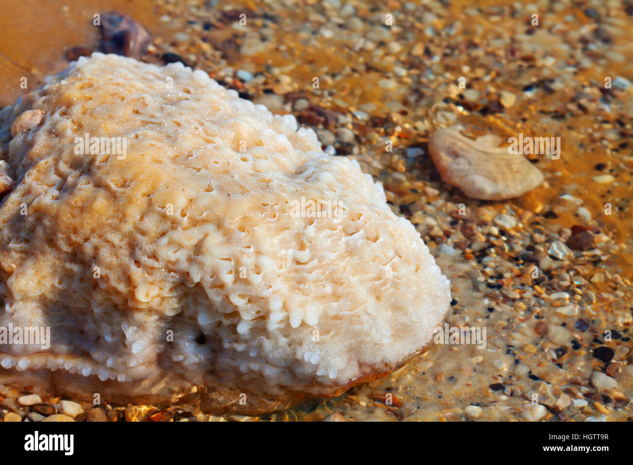 Dead sea Salt shore Stock Photo - Alamy
