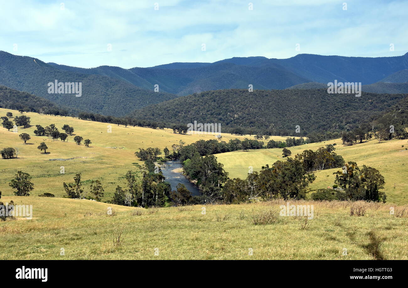 Dargo victoria hi-res stock photography and images - Alamy