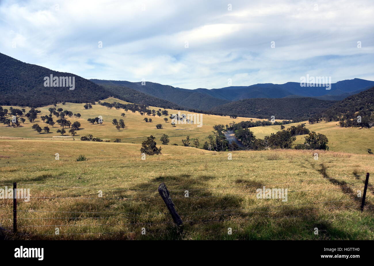 Dargo victoria hi-res stock photography and images - Alamy