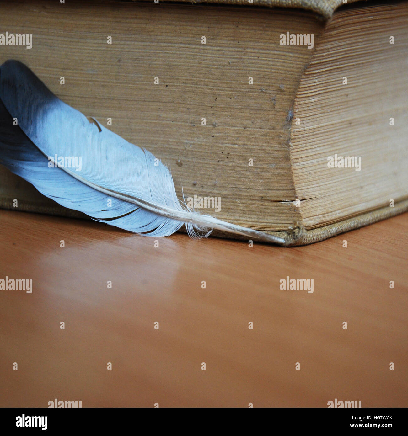 White feather and thick book Stock Photo - Alamy