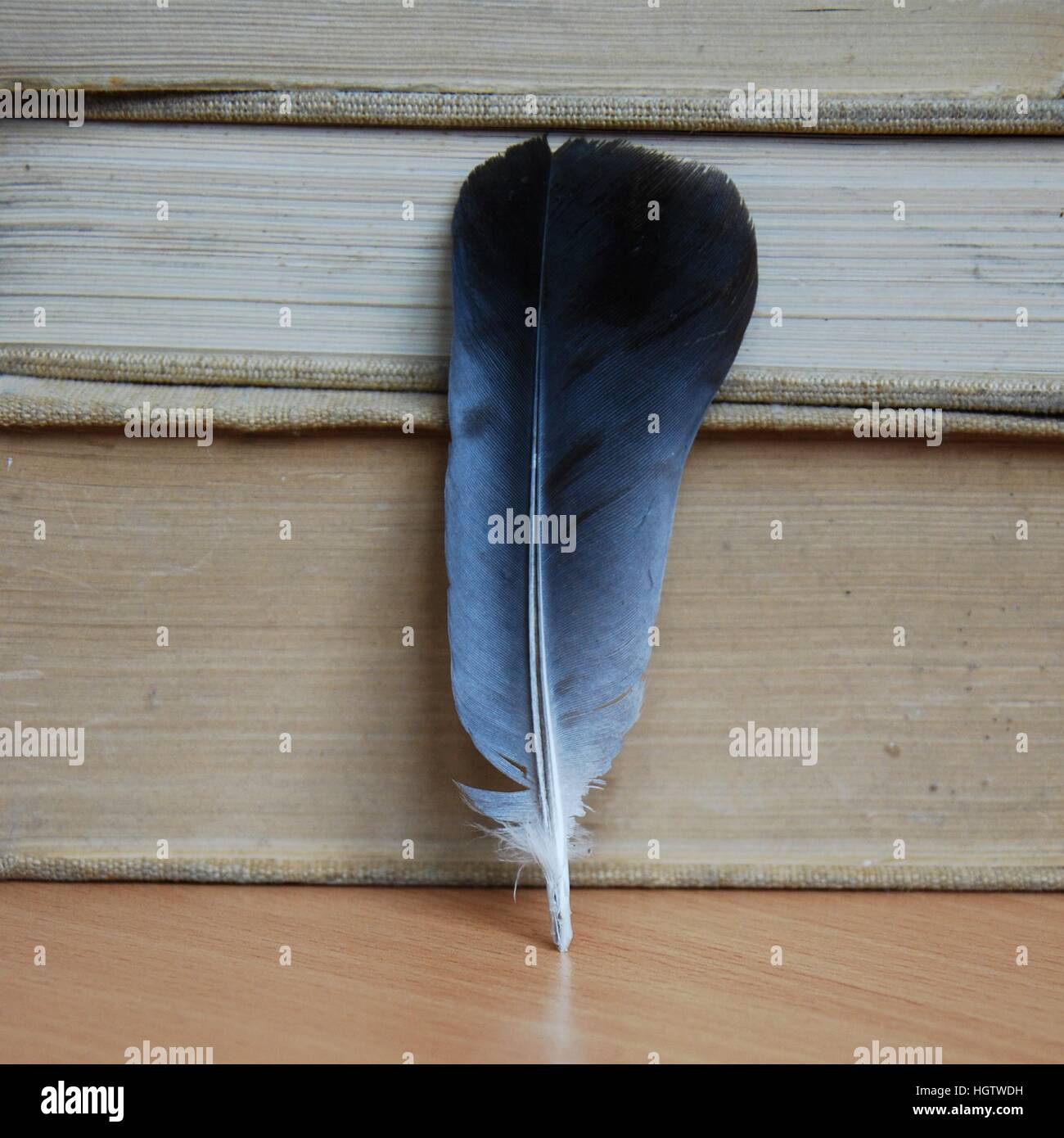 Blue feather with old books in the background Stock Photo - Alamy