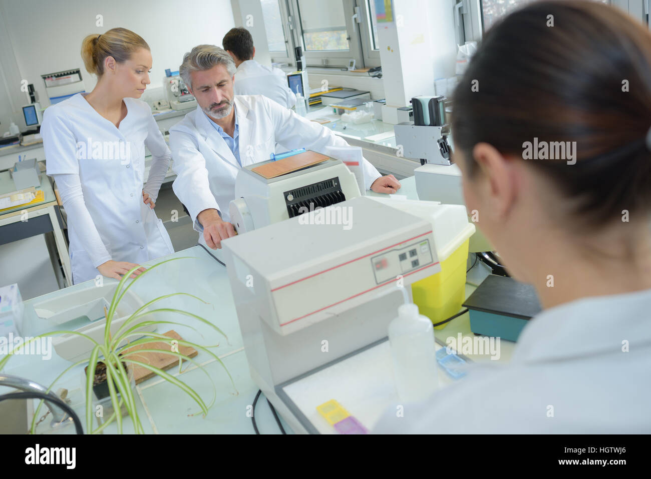 conducting a research Stock Photo - Alamy