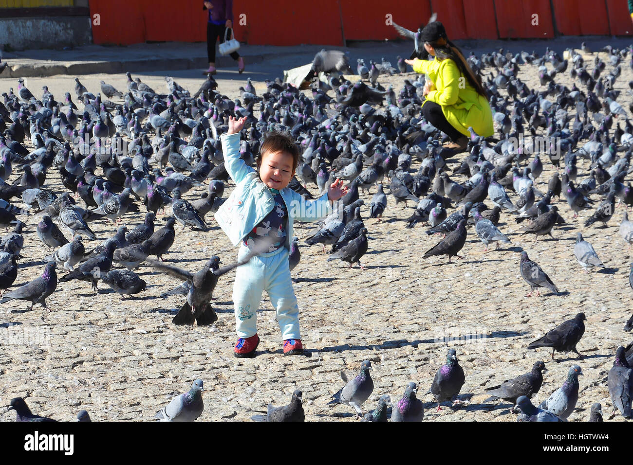 Child/toddler playing with hundreds of pigeons in Mongolia in a square ...