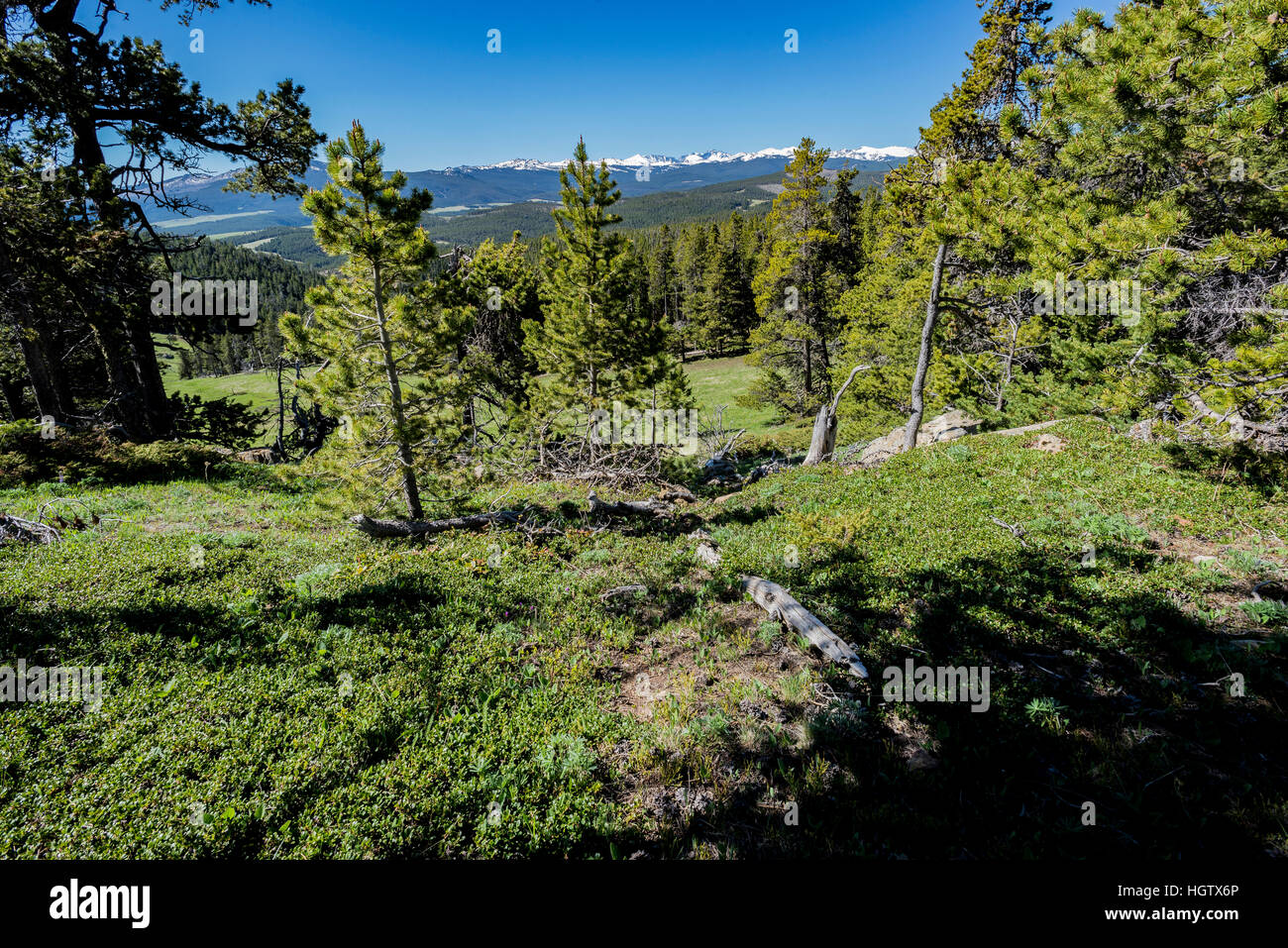 Randy stout hi-res stock photography and images - Alamy