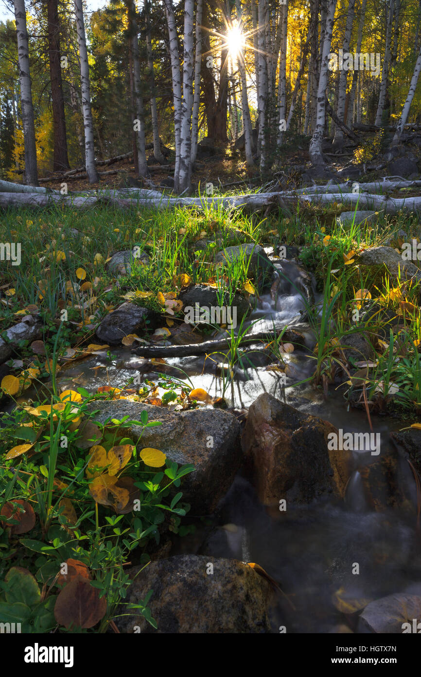 Hope valley nevada hi-res stock photography and images - Alamy