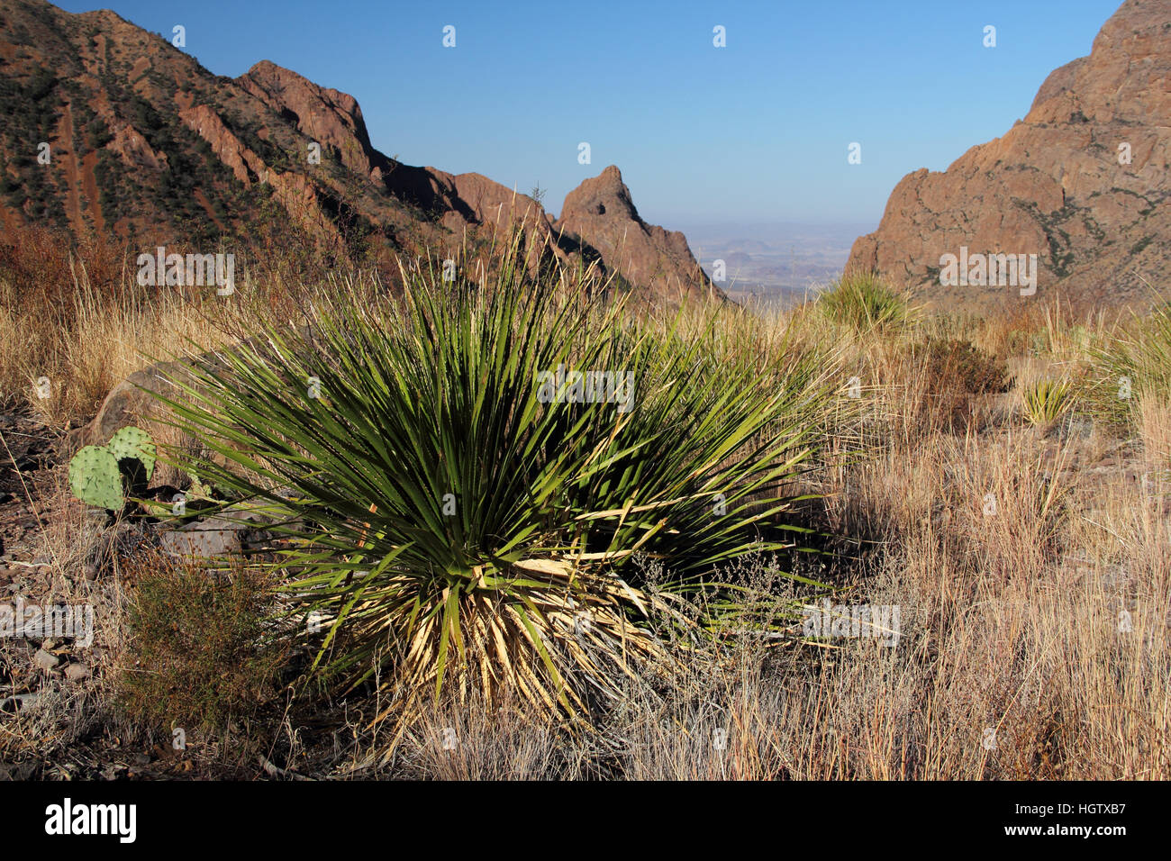 Beautiful Southwestern Landscape in Big Bend National Park, Texas Stock ...