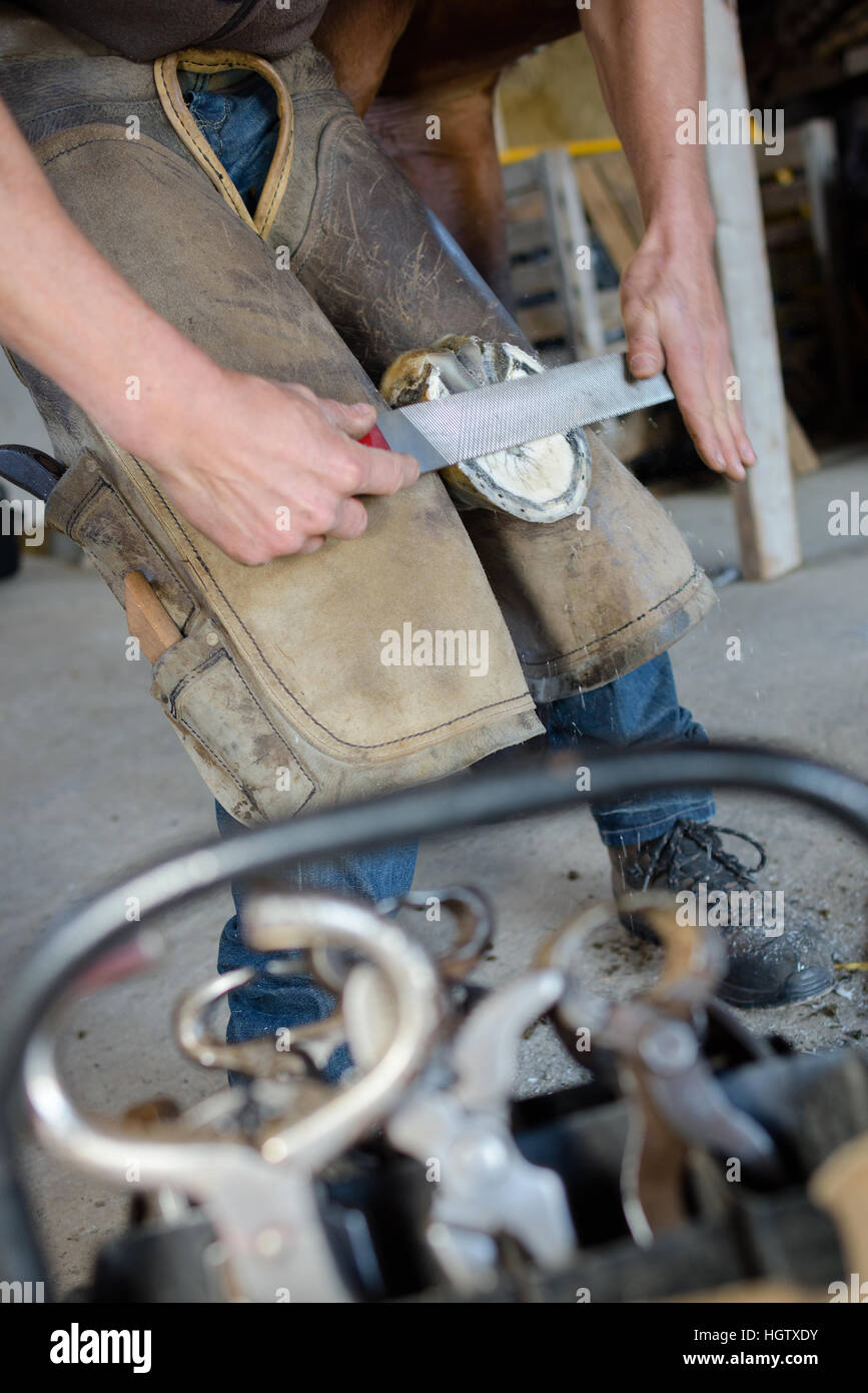 making a horse hoof Stock Photo - Alamy