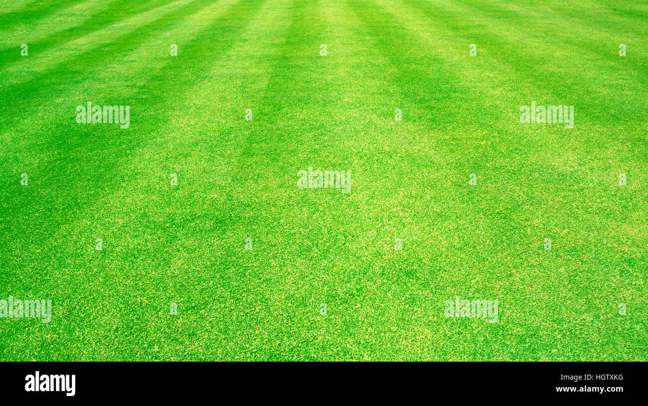 Green grass background turf grass surface abstract Stock Photo - Alamy