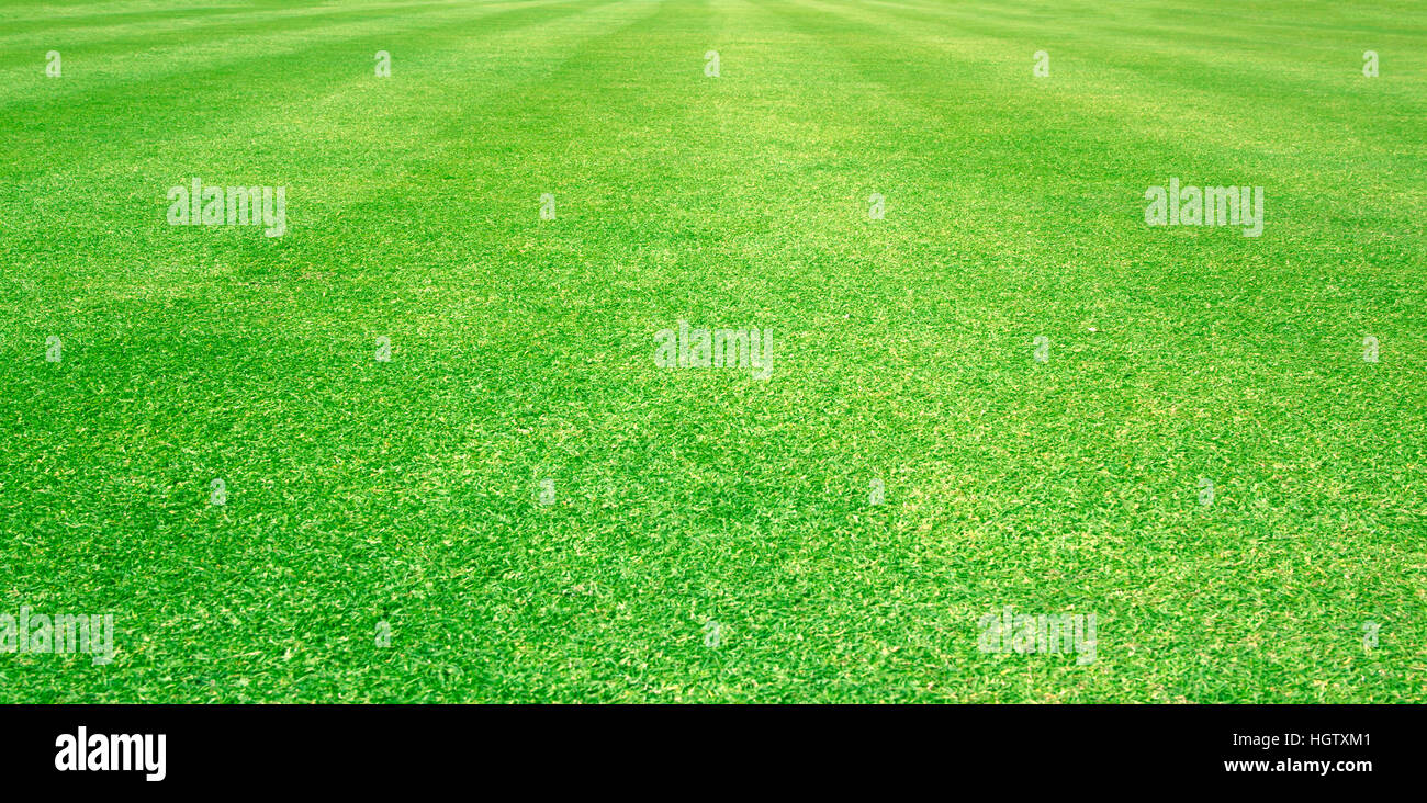 Football field green grass pattern textured background Stock Photo - Alamy