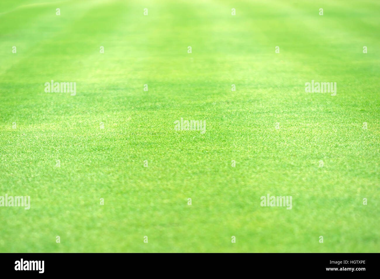 Football field green grass pattern textured background Stock Photo - Alamy