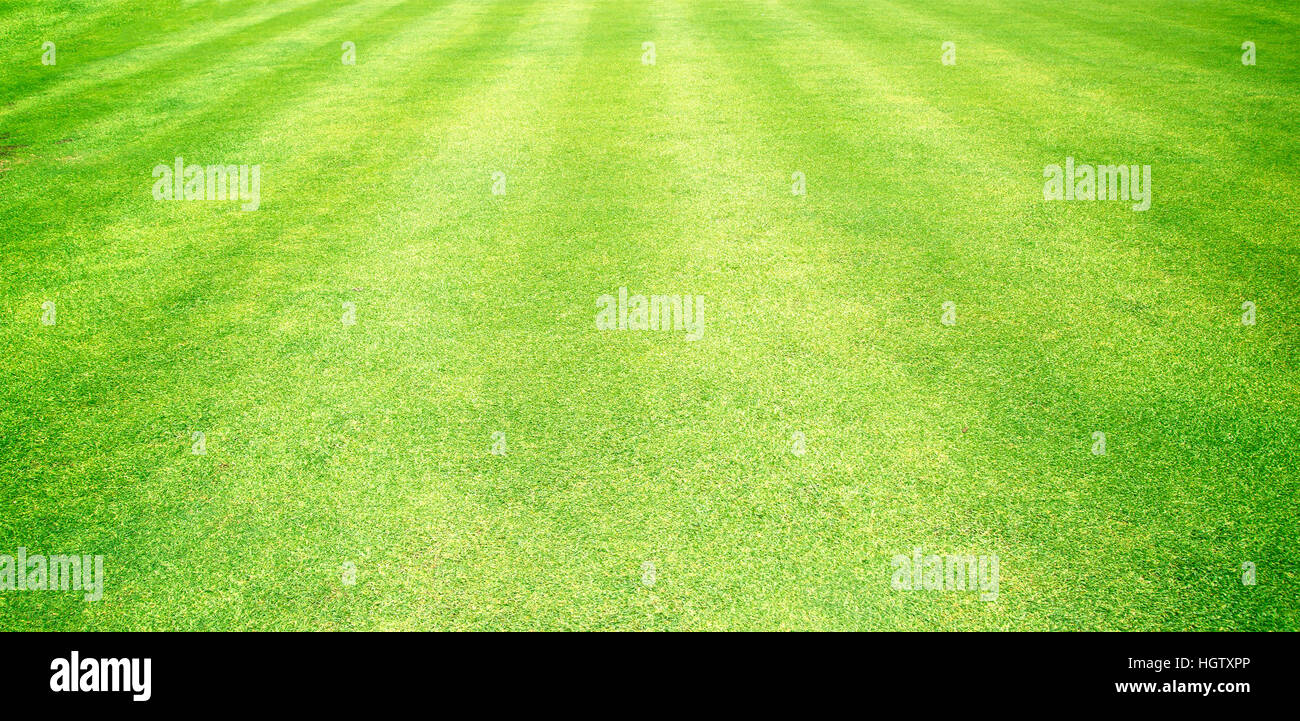 Green grass background turf grass surface abstract Stock Photo - Alamy