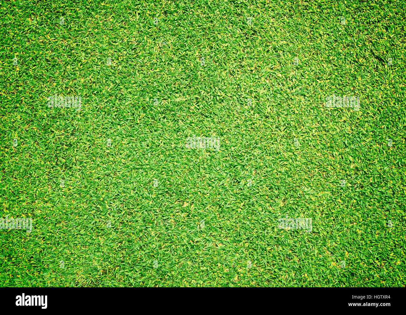 Green grass background turf grass surface abstract Stock Photo - Alamy