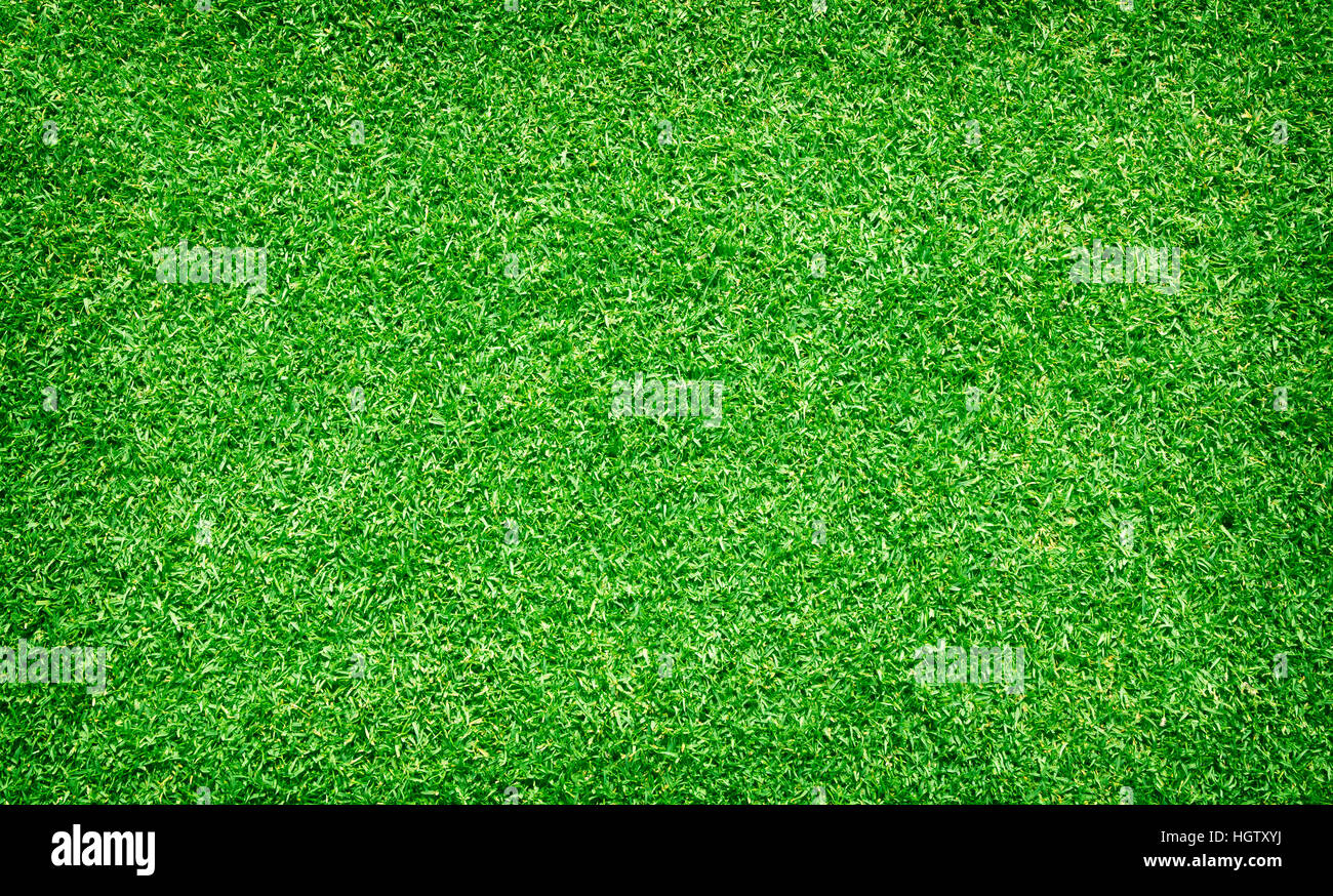 Football field green grass pattern textured background Stock Photo - Alamy