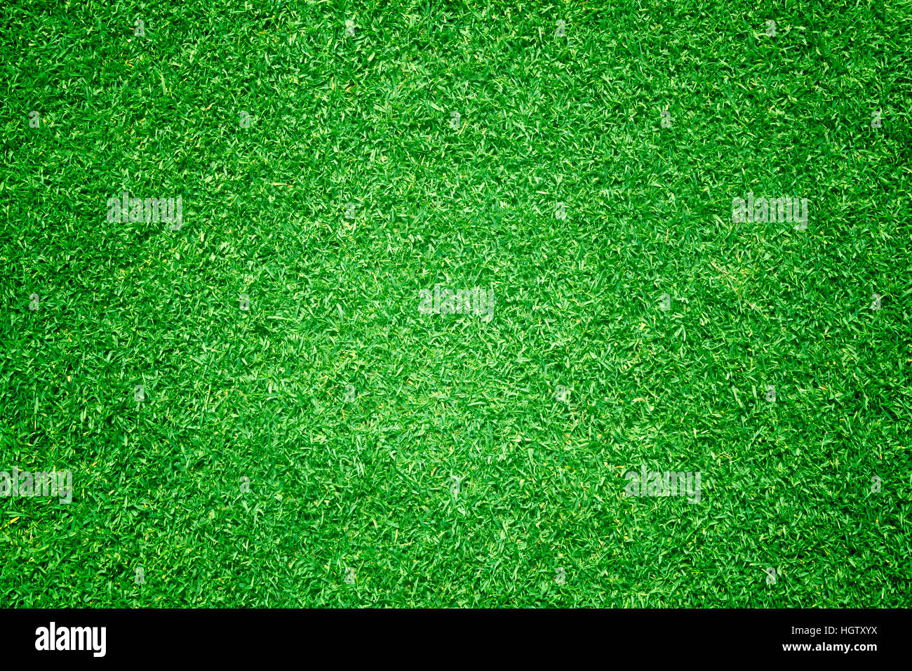 Green grass background turf grass surface abstract Stock Photo - Alamy