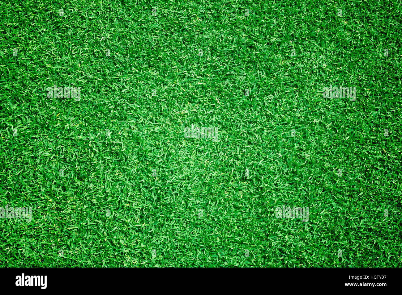 Football field green grass hi-res stock photography and images - Alamy