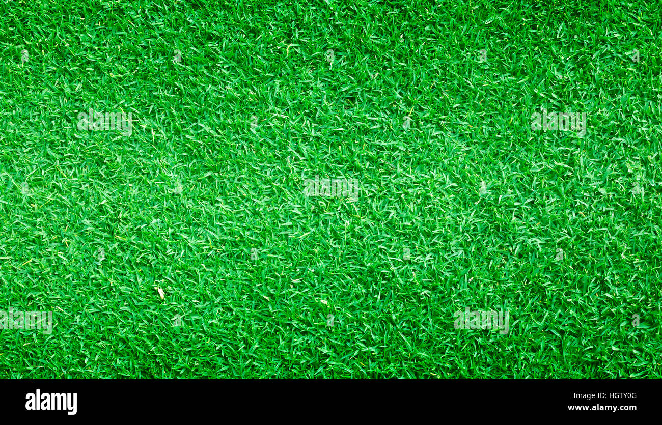 Football field green grass pattern textured background Stock Photo - Alamy