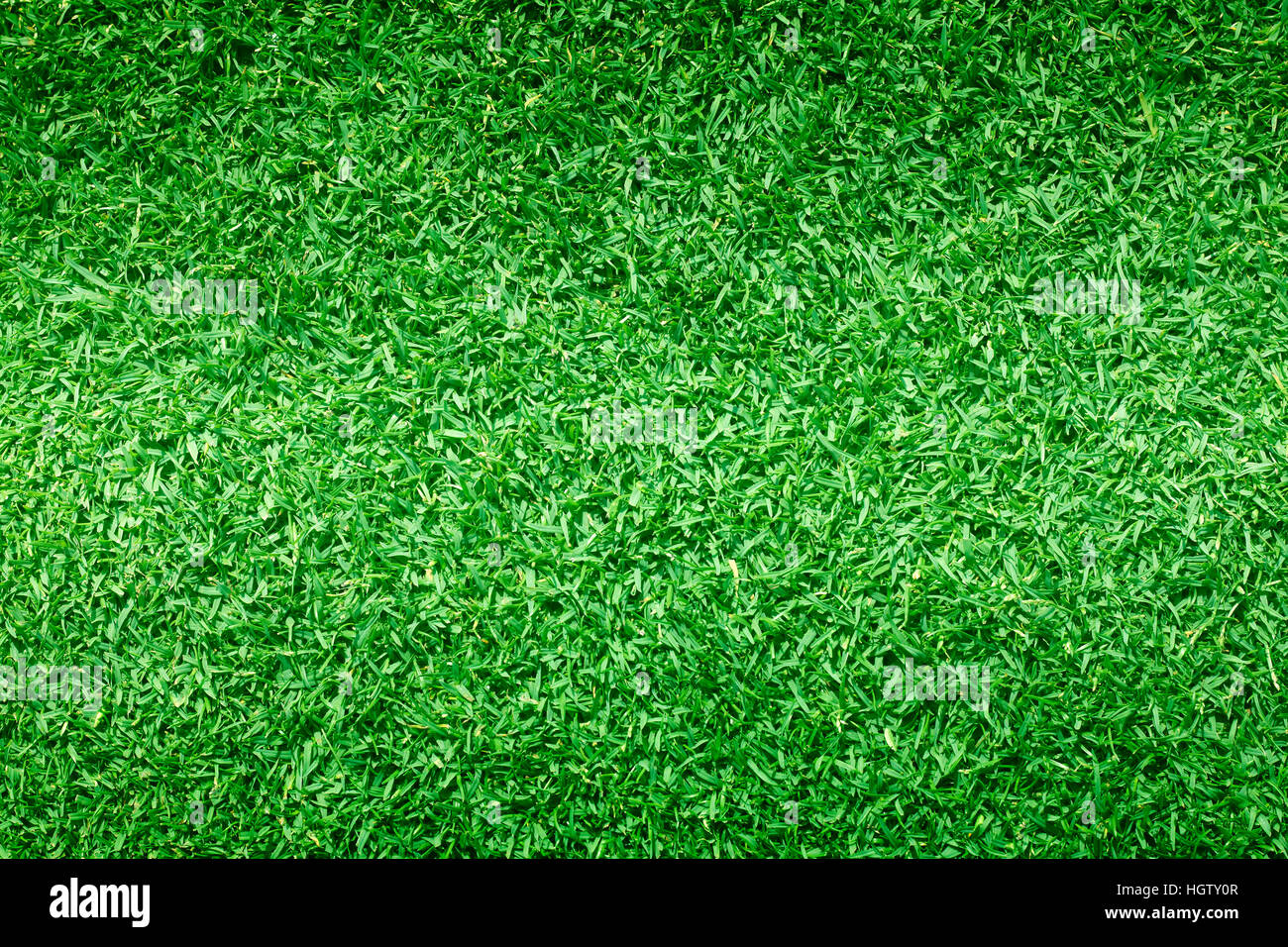 Green grass background turf grass surface abstract Stock Photo - Alamy