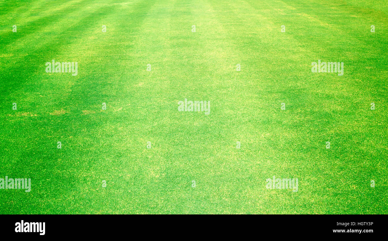 Football field green grass pattern textured background Stock Photo - Alamy